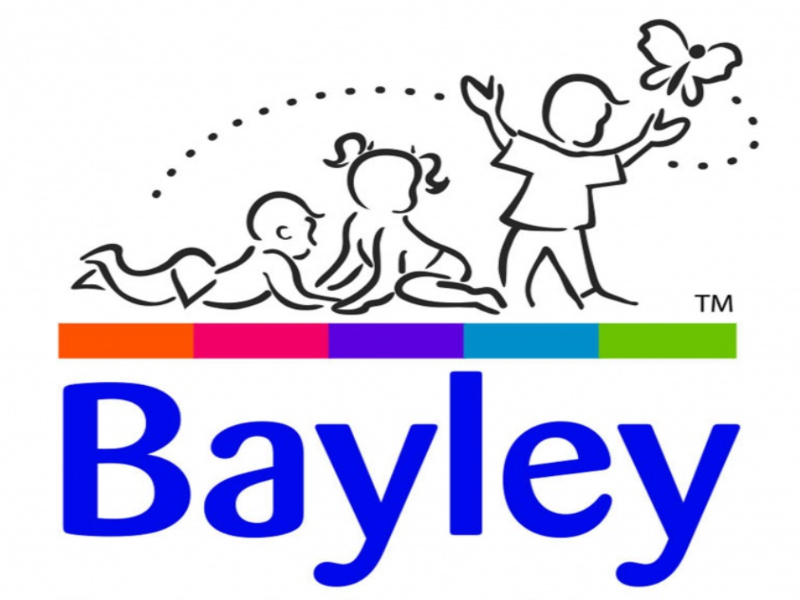 Curso BAYLEY 3 - Experts Cursos
