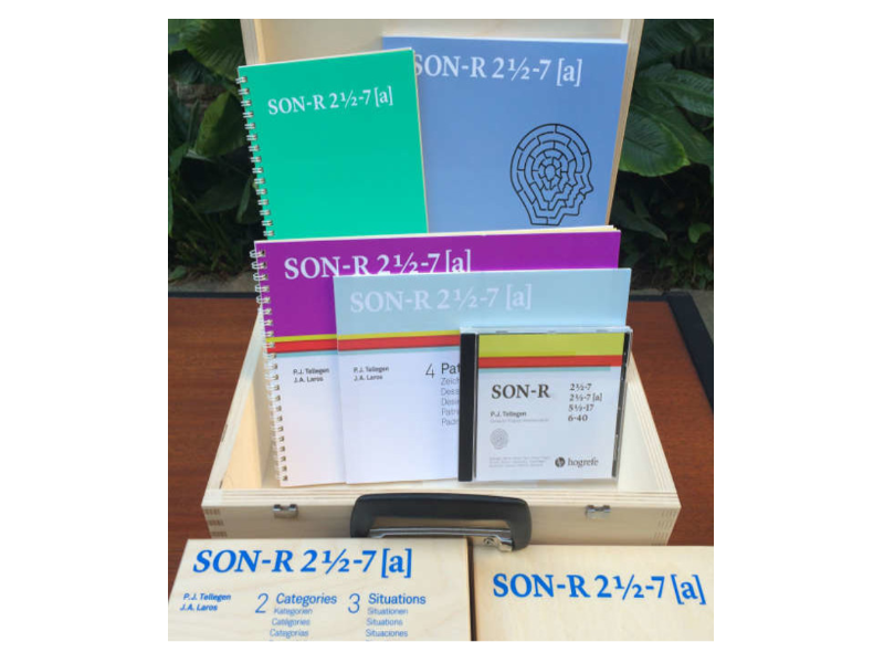 Curso SON-R - APLICAÇÃO, CORREÇÃO E INTERPRETAÇÃO - Experts Cursos